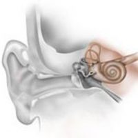 Anatomia dell'orecchio per apparato uditivo | Mondial Udito